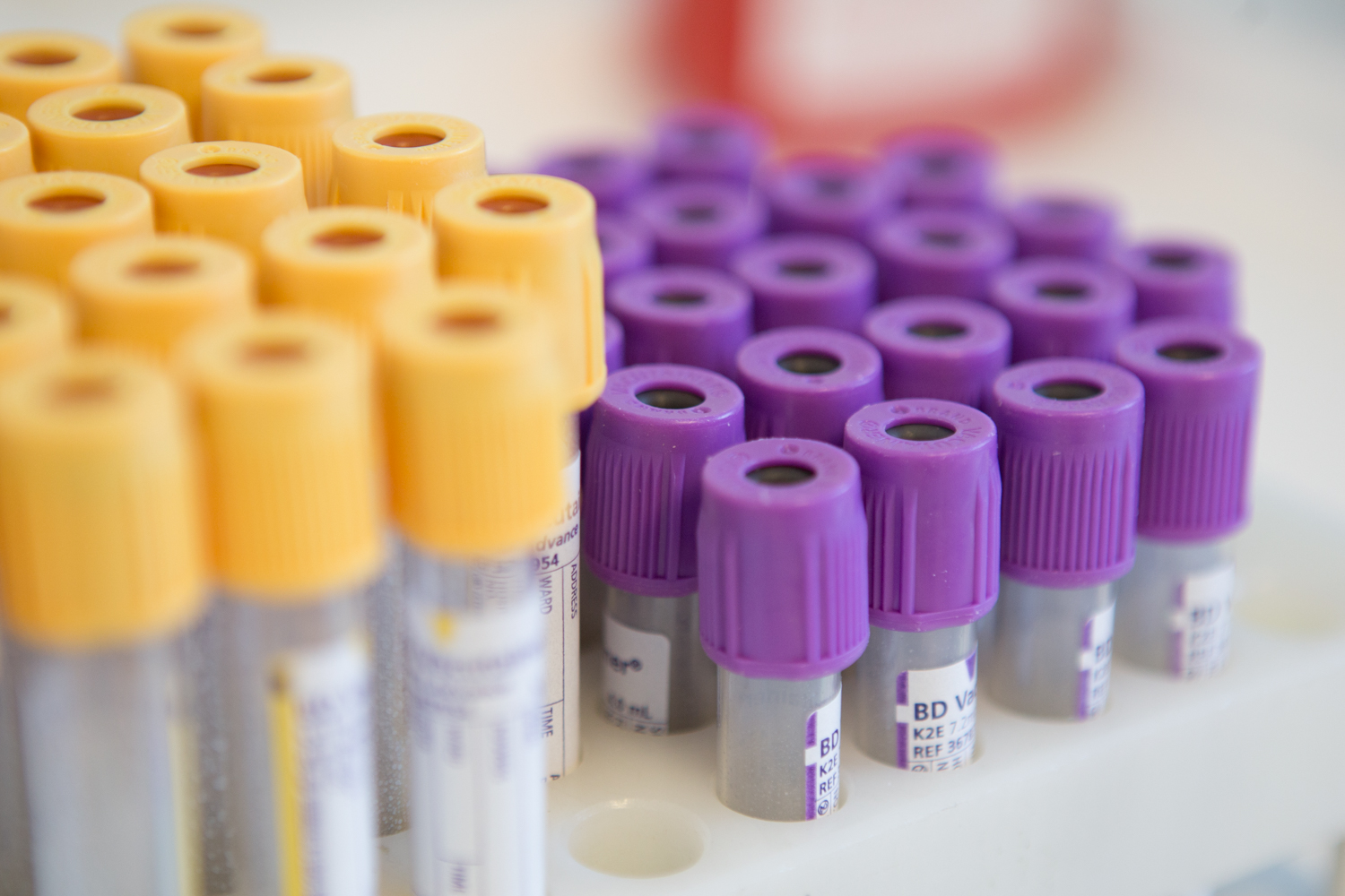 Scotblood | Blood components