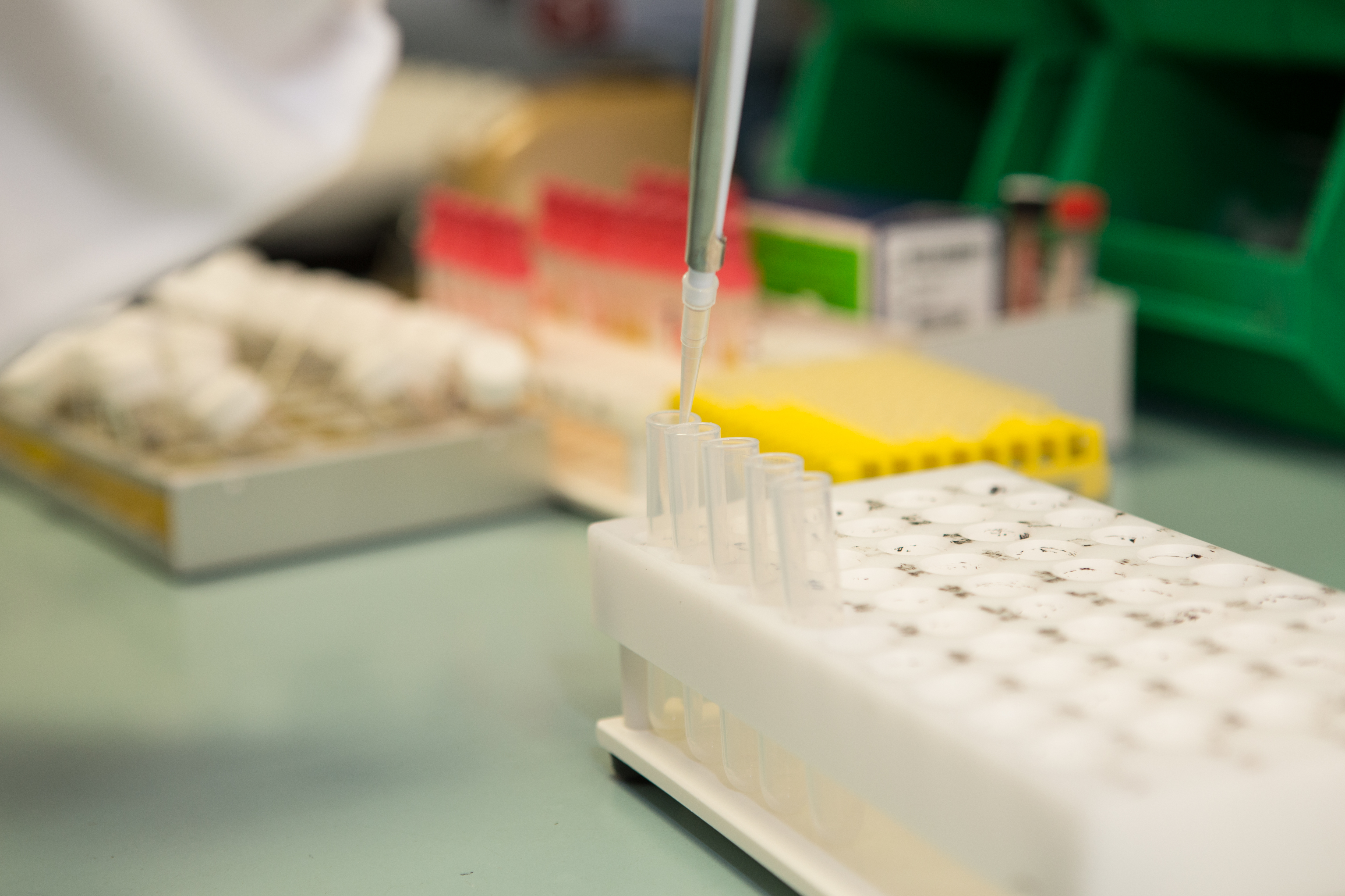 Scotblood | Hepatitis B Virus (HBV) core testing